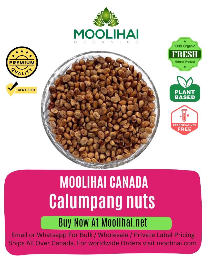 Calumpang nuts / Chironji / Sara Paruppu - Herbolaya