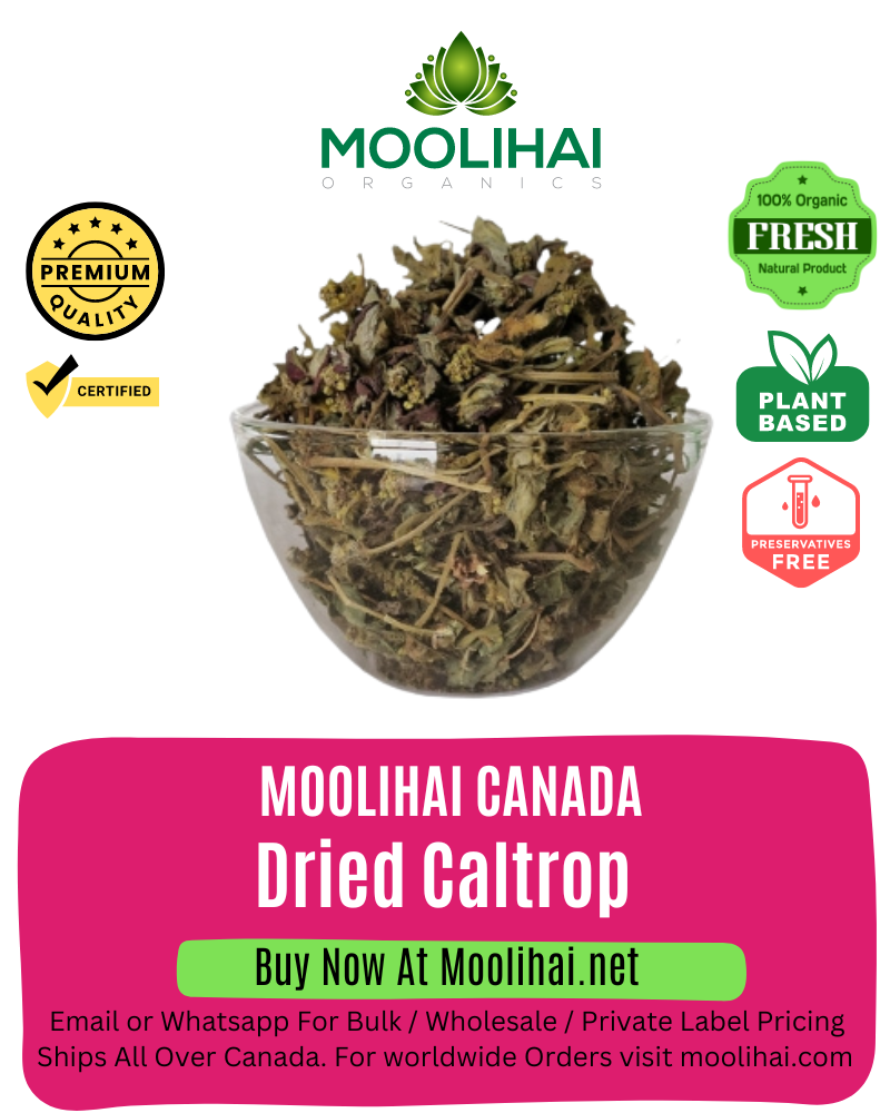 Dried Caltrop / Nerunji mull - Herbolaya