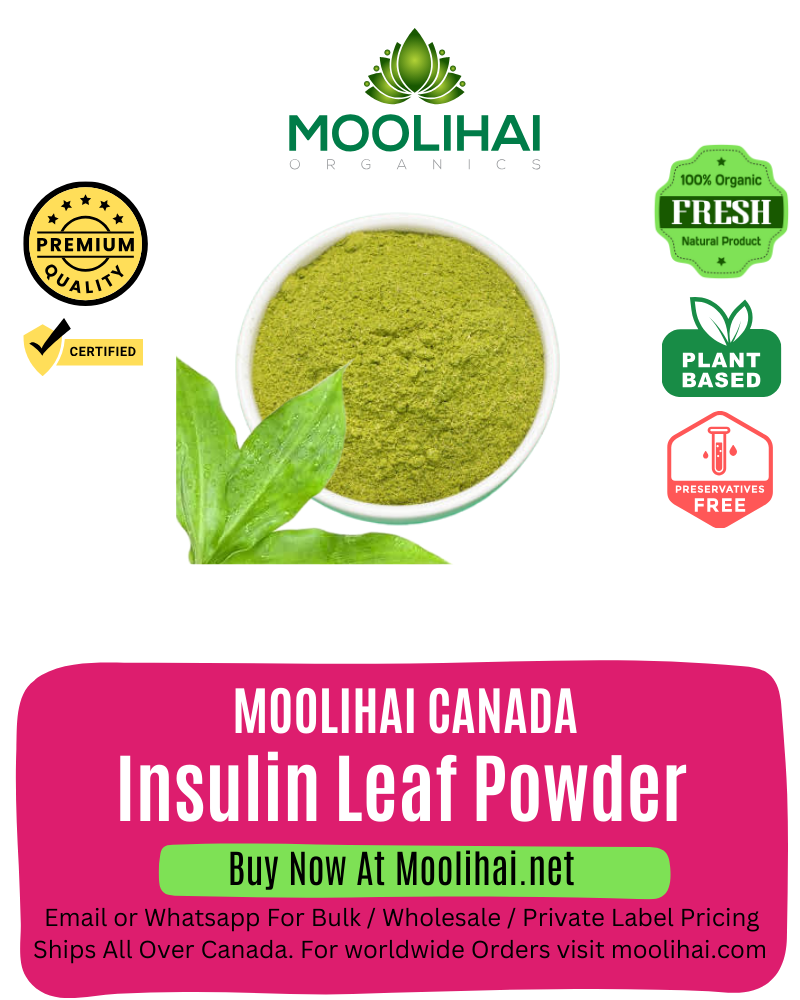 Insulin Leaf Powder/ Spiral Ginger/ Chamaecostus Cuspidatus / Costus ...