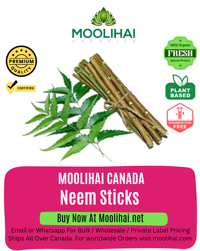 Organic Neem Chew Twigs Sticks / / Nim Tree Twigs Chew Sticks - Herbolaya